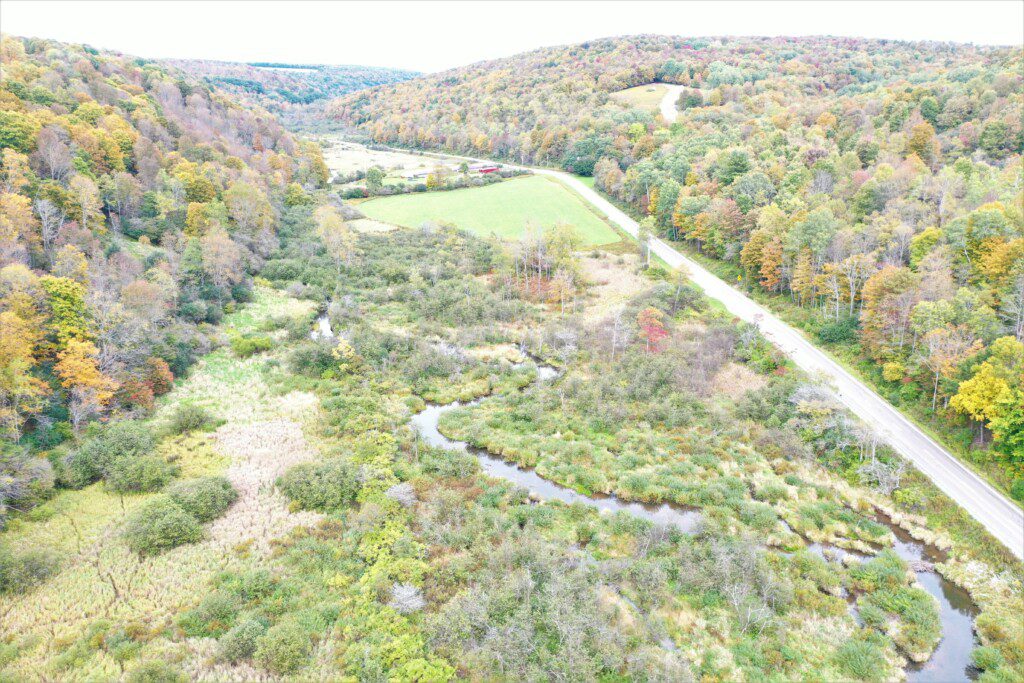 26 acres with Large Barn in Rexville NY 1191 State Route 248 | NY ...