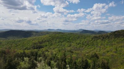 New York Land Quest - 319 acres Adirondack Woodlands with Mountain ...